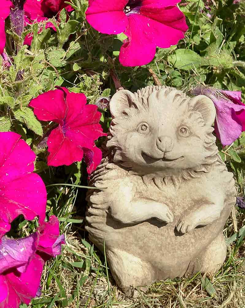 Hazel Hedgehog – Carruth Studio