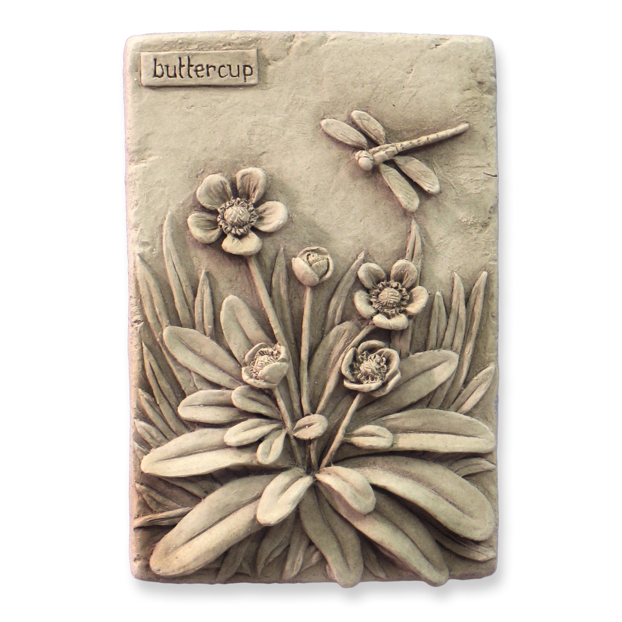 Buttercup – Carruth Studio