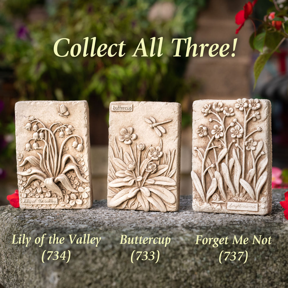 Buttercup – Carruth Studio